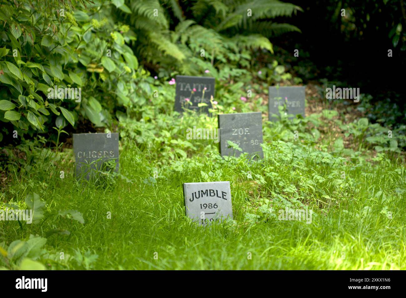 Cat - Gravestone of pet cat, ÔJumbleÕ in Pet Cemetery Stock Photo - Alamy
