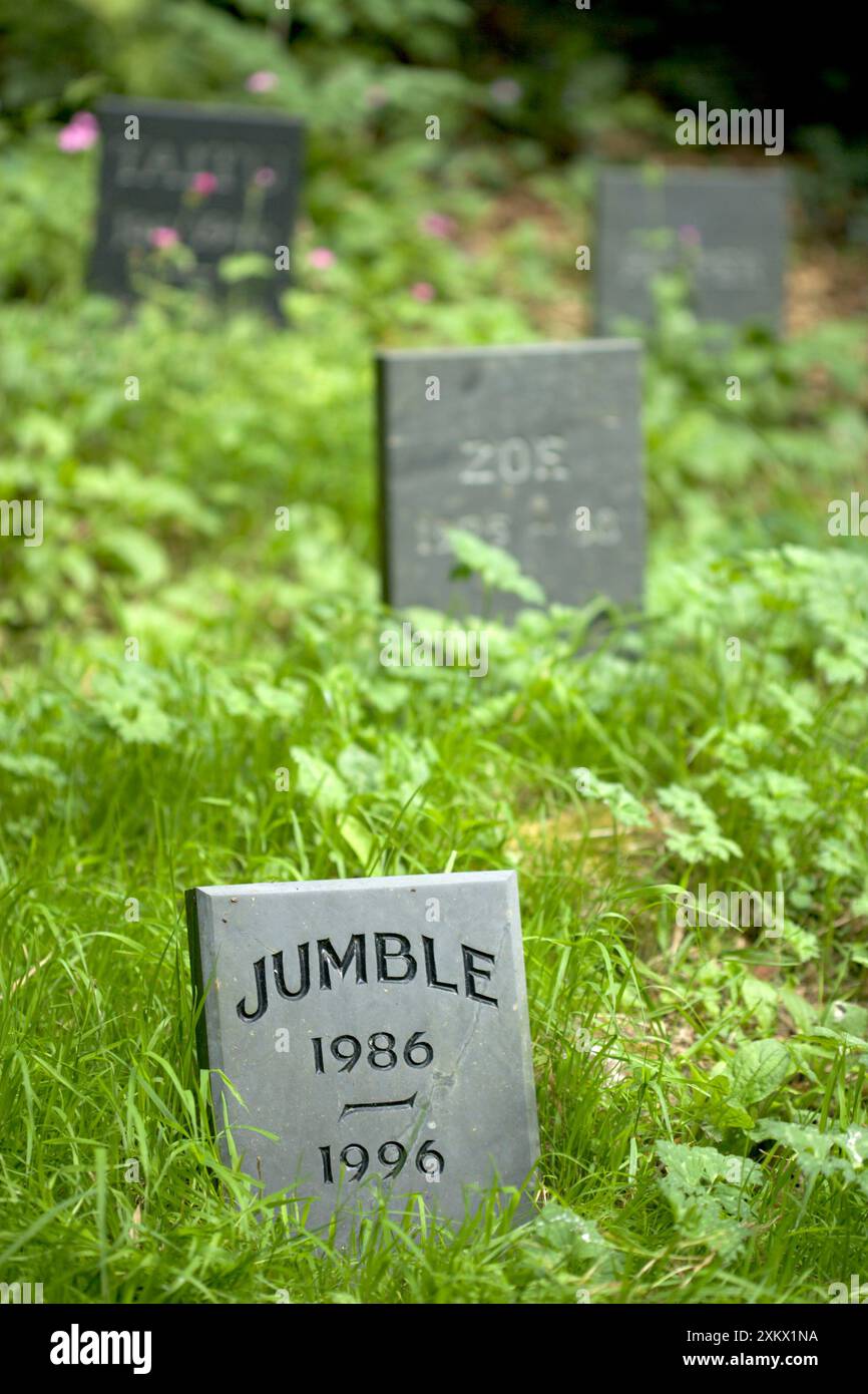 Cat - Gravestone of pet cat ÔJumbleÕ in Pet Cemetery Stock Photo - Alamy