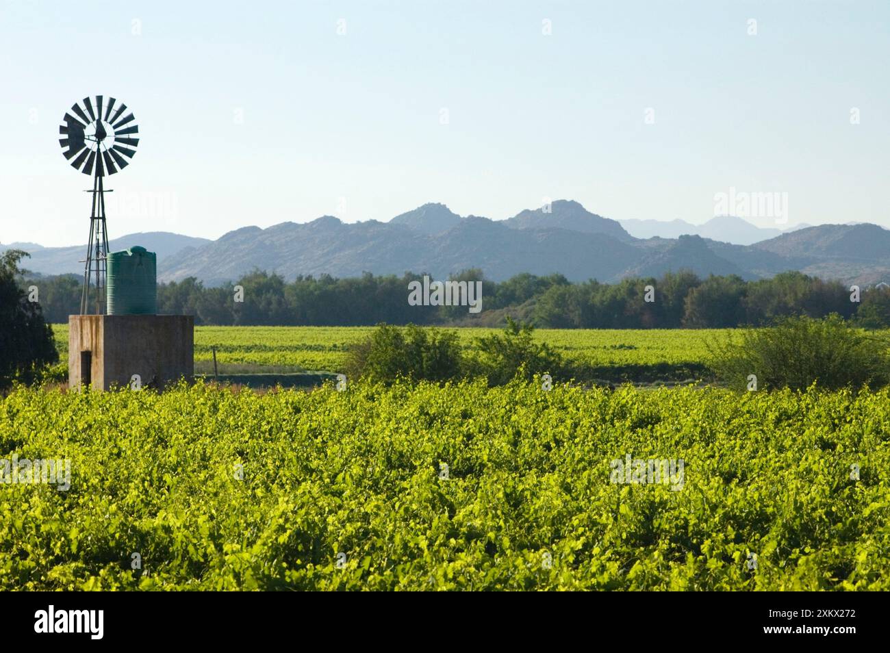 Orange river farming africa hi-res stock photography and images - Alamy