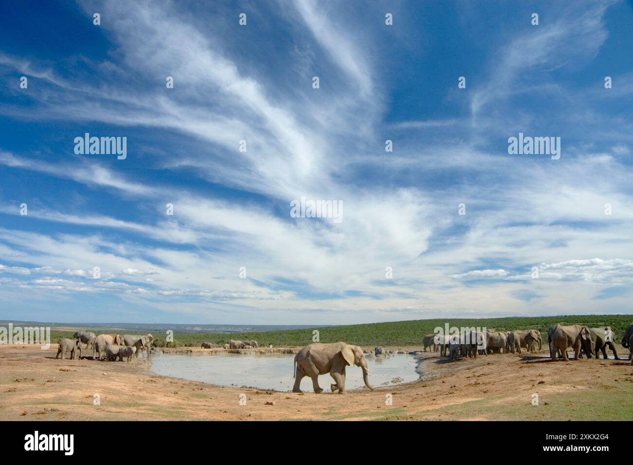 Hapoor waterhole hi-res stock photography and images - Alamy