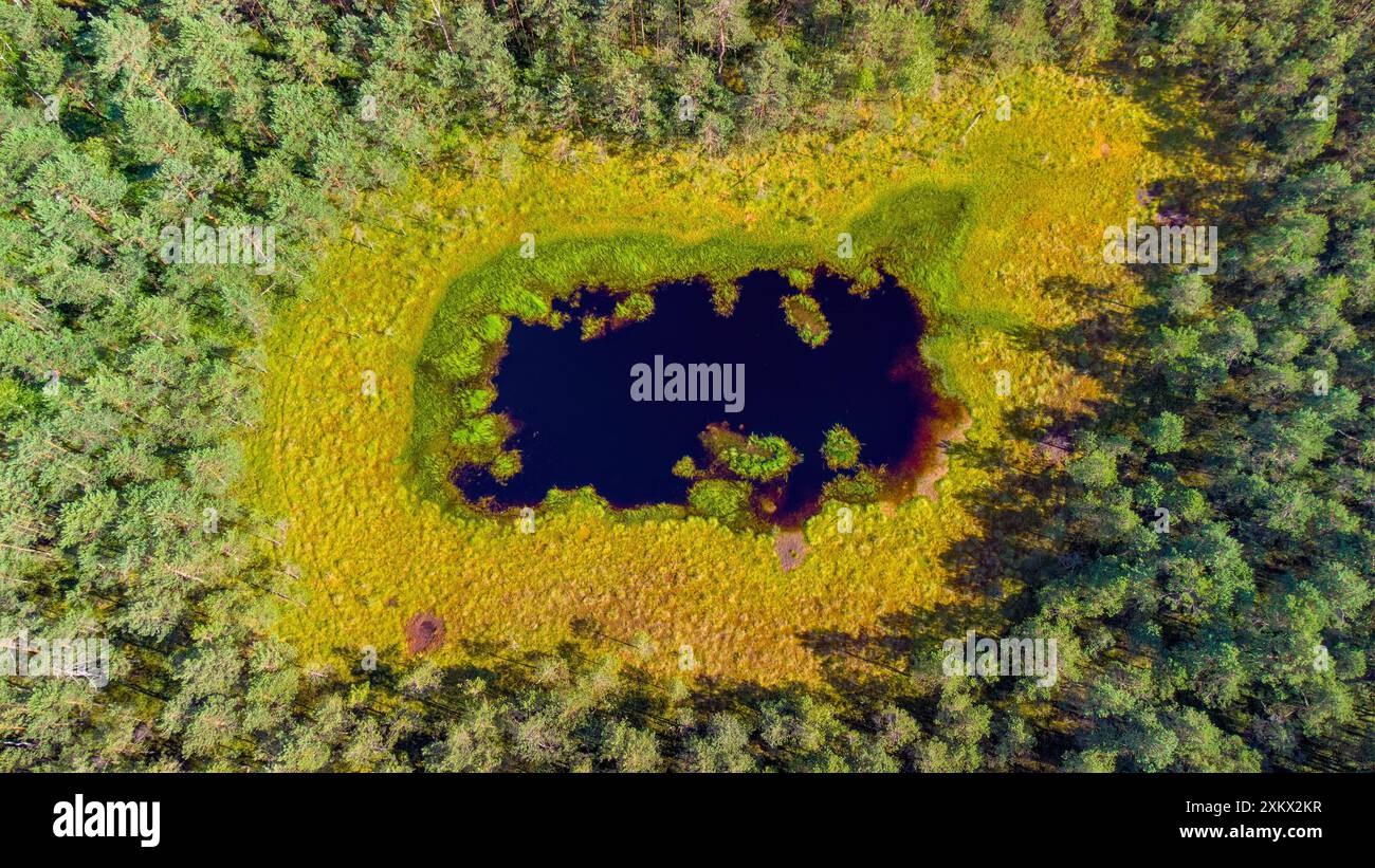 Aerial View Of The Lake In Lithuanian Forests Wild Summer Nature