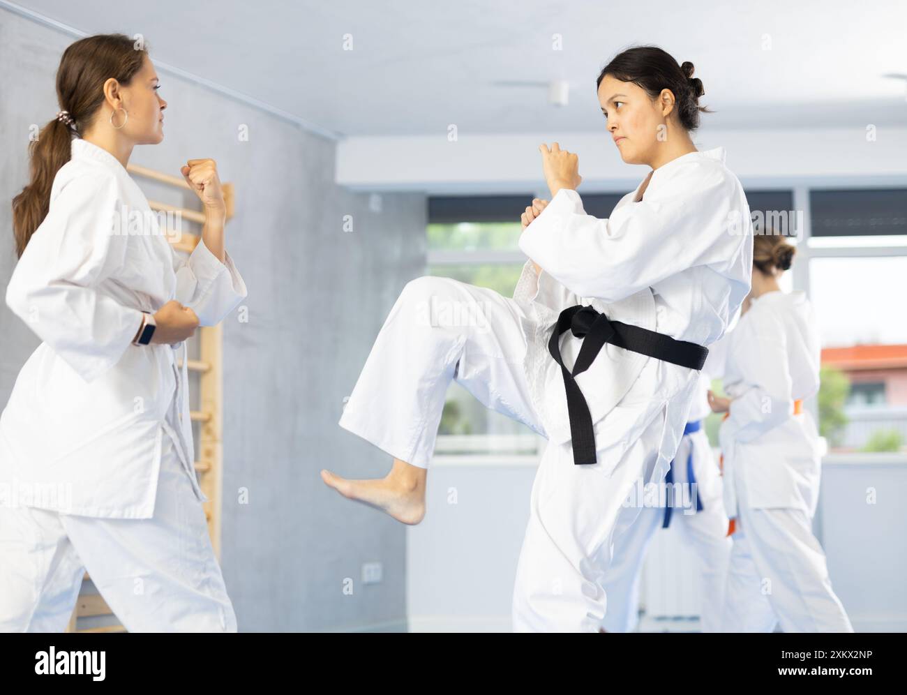 Two young women training karate techniques Stock Photo - Alamy