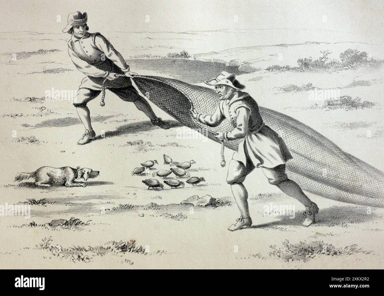 Dog catchers and nets hi-res stock photography and images - Alamy