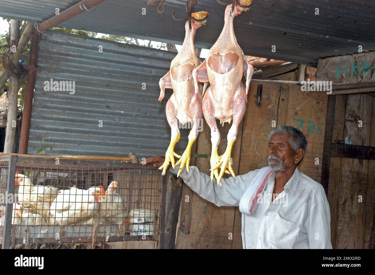 Indian chicken shop hi-res stock photography and images - Alamy