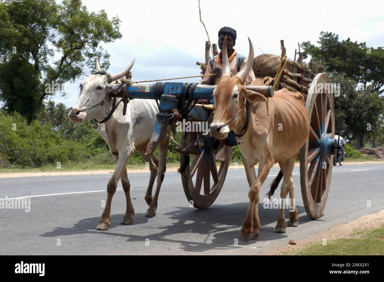 Ox cart hi-res stock photography and images - Alamy