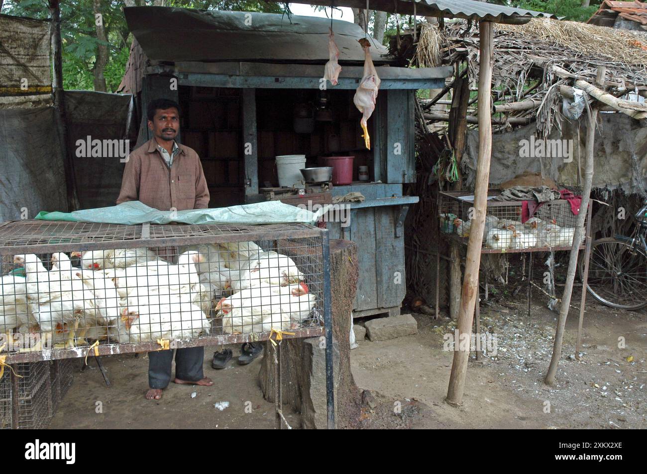 Chicken shop, south India Stock Photo - Alamy