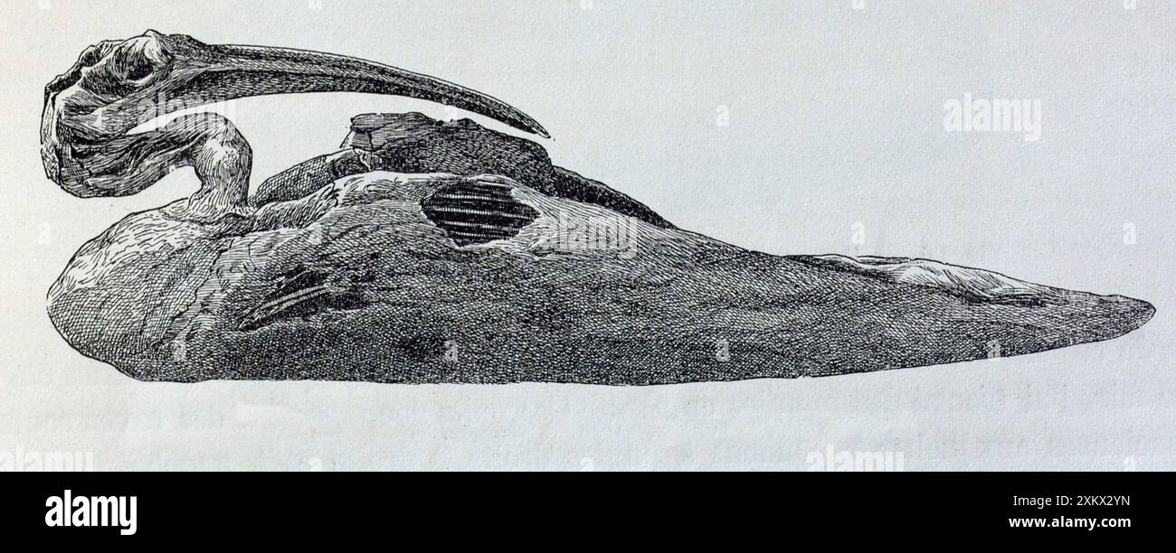 Eqyptian hi-res stock photography and images - Alamy