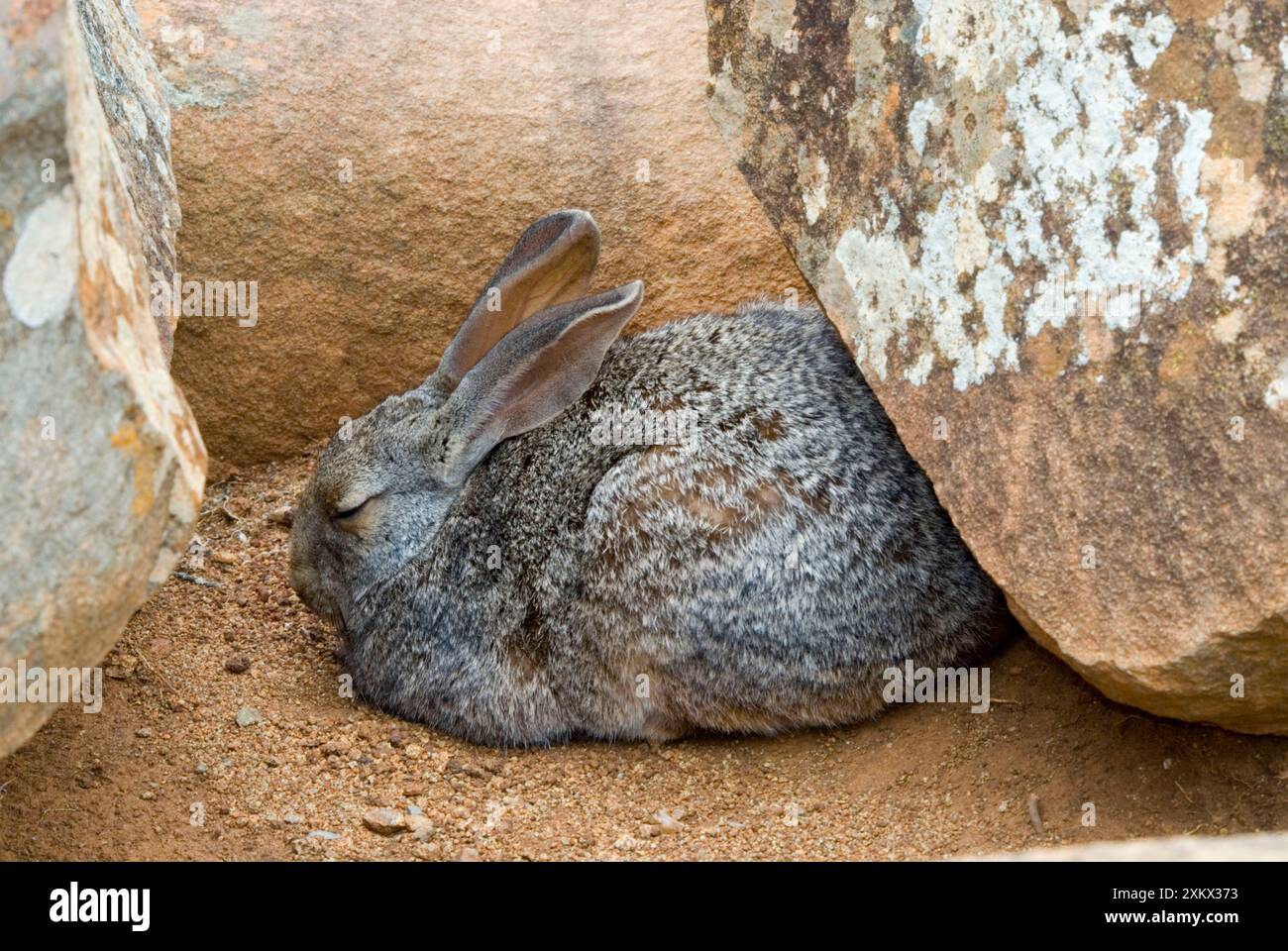Smiths red rock hi-res stock photography and images - Alamy