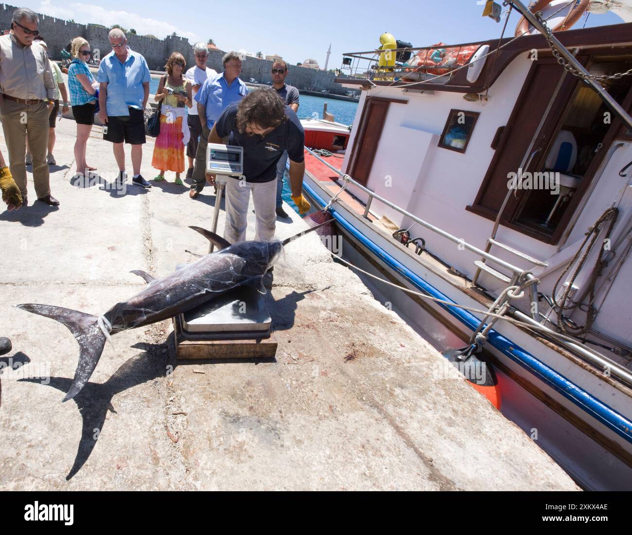 Sword fishes hi-res stock photography and images - Alamy