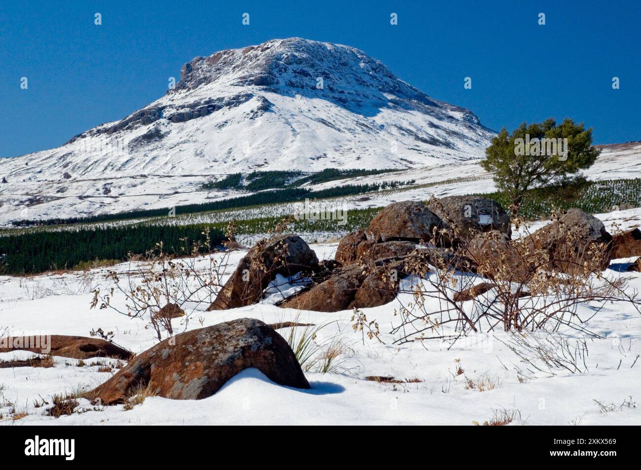 Snow at Hogsback, Amatola Mountains Stock Photo - Alamy