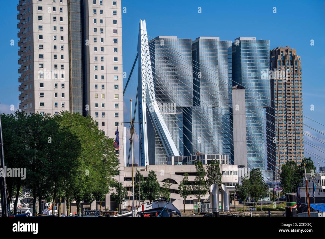 View of the high-rise buildings at Kop van Zuid, pillars of the Erasmus ...