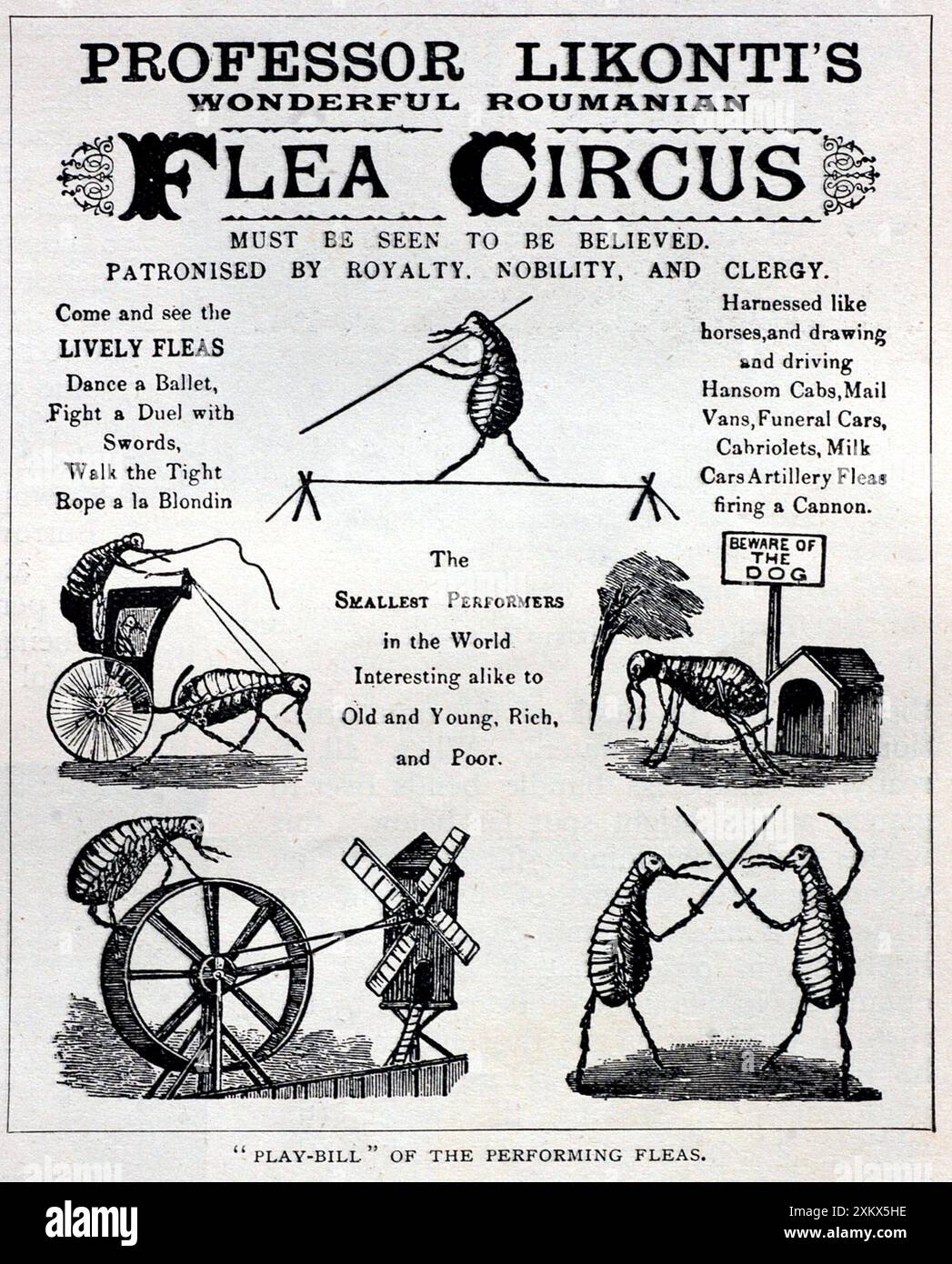 Flea circus hi-res stock photography and images - Alamy