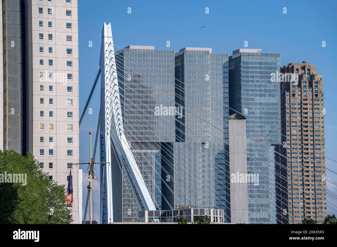 View of the high-rise buildings at Kop van Zuid, pillars of the Erasmus ...