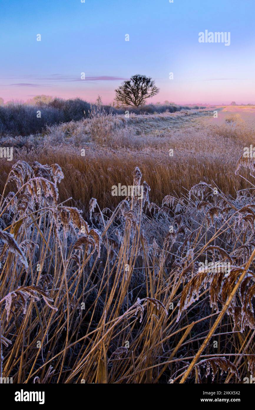 Otmoor nature reserve hi-res stock photography and images - Alamy