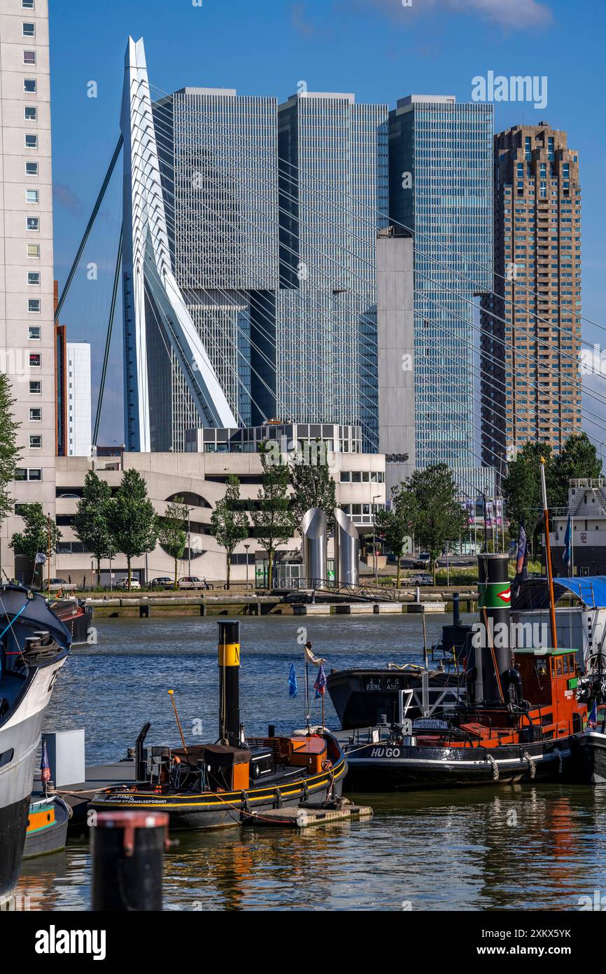 The Maritime Museum, outdoor area in the Leuvehaven, in Rotterdam, many ...