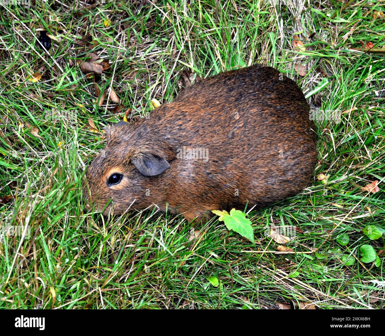 Single name hi-res stock photography and images - Alamy