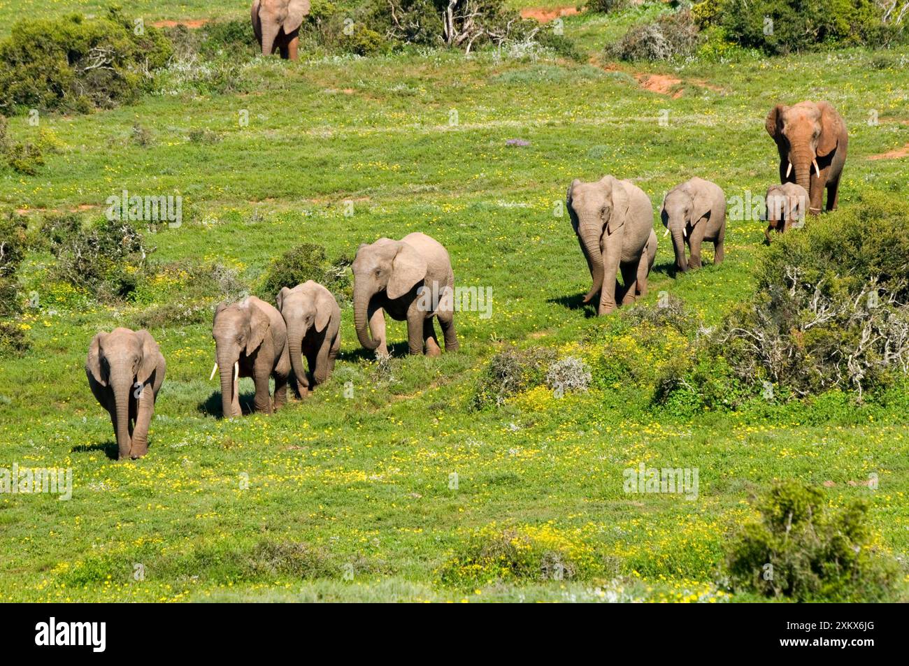 Walking single file hi-res stock photography and images - Alamy