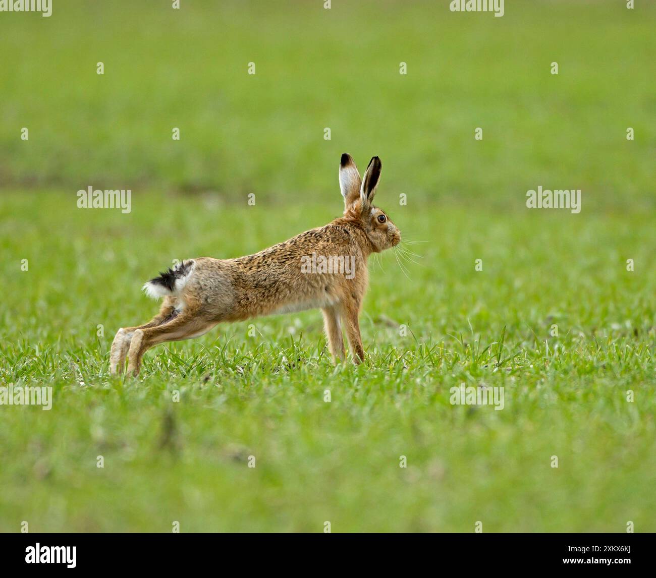 Long period of rest hi-res stock photography and images - Alamy