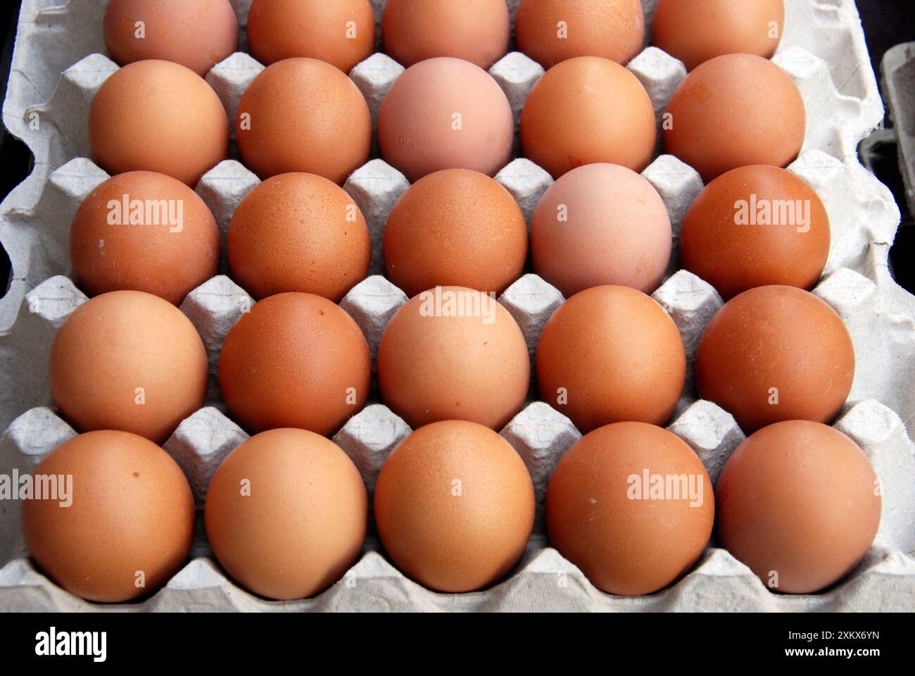 Egg case hi-res stock photography and images - Alamy