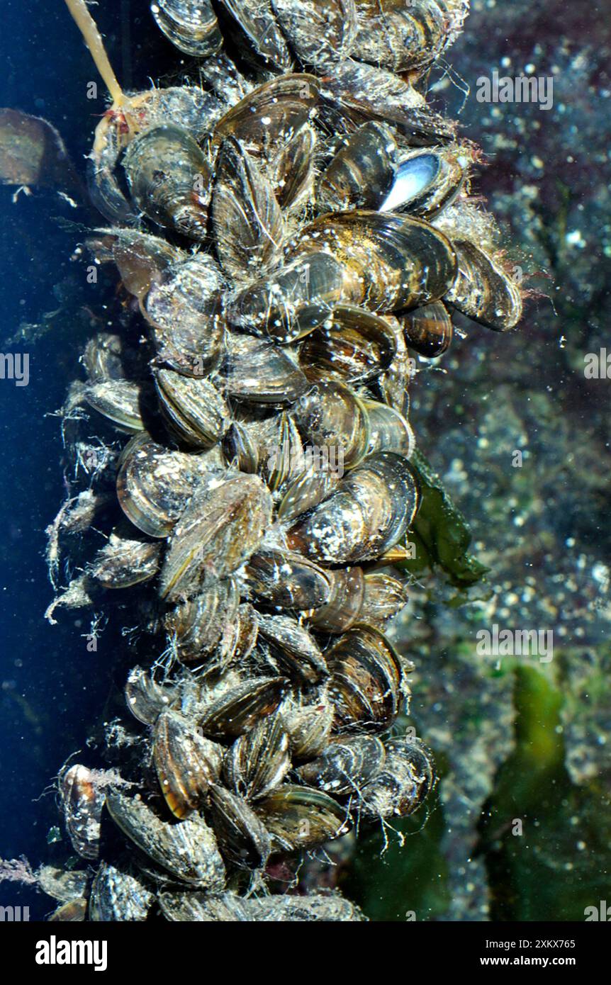 We culture hi-res stock photography and images - Alamy