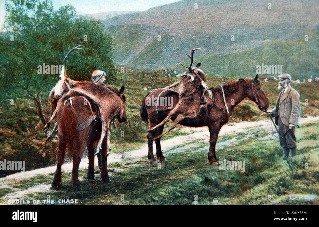 Red Deer stalking; two Scottish ghillies with the Stock Photo - Alamy