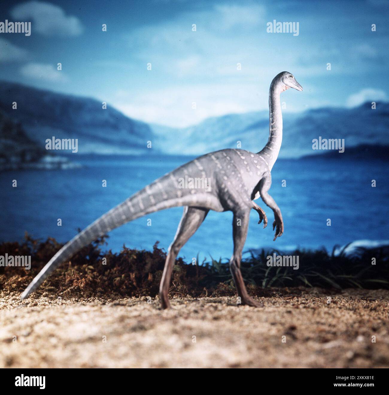 Ornithomimus Prehistoric Park Fan Casting Ornithomimus As Dinosaurs