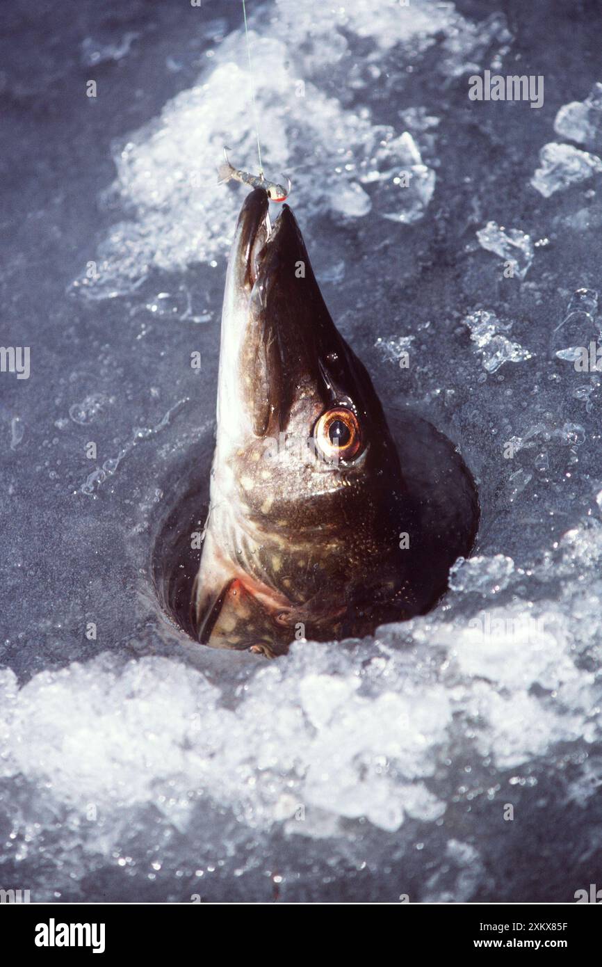 Ice fishing for pike hi-res stock photography and images - Alamy