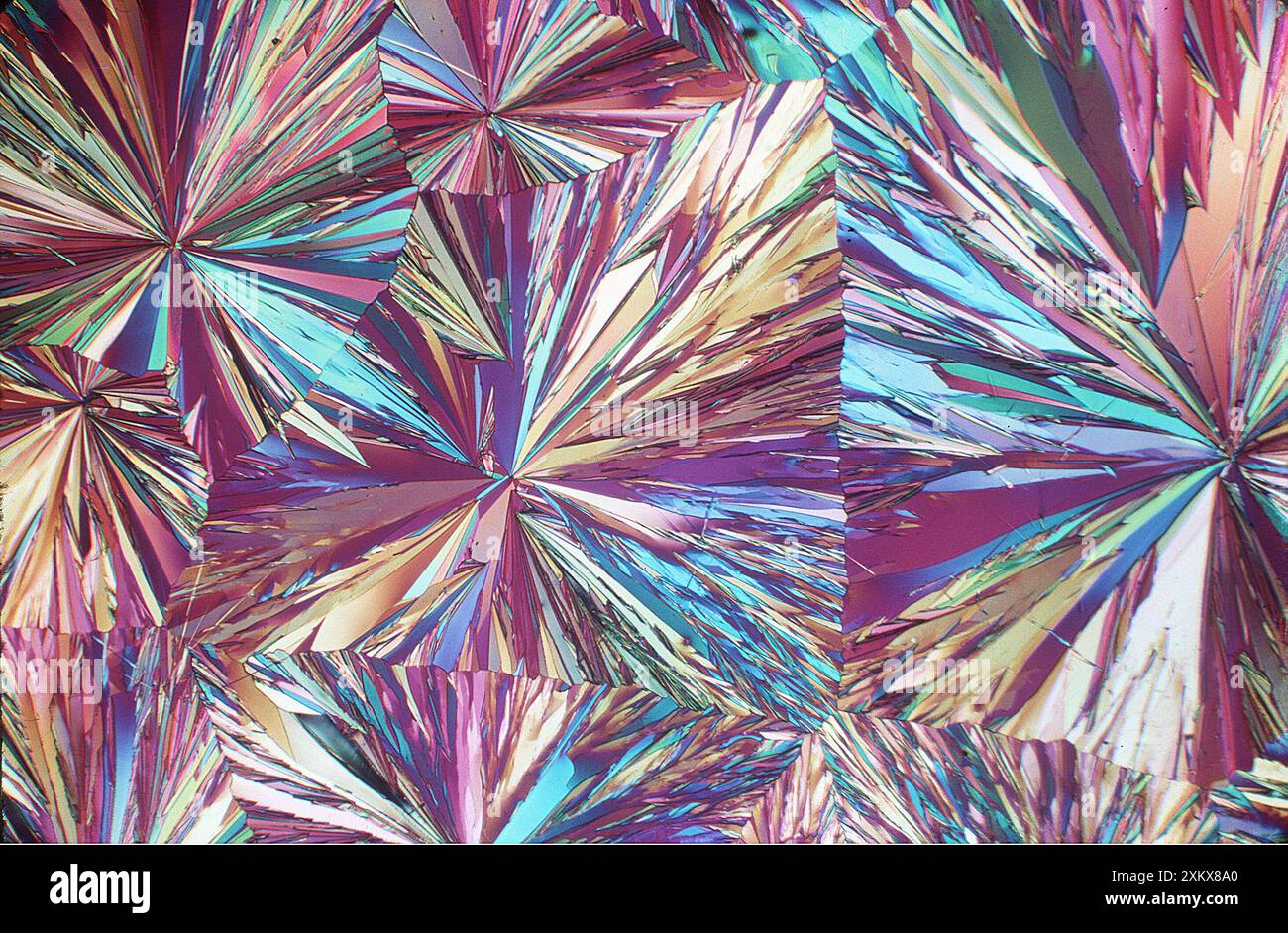 Hippuric acid hi-res stock photography and images - Alamy