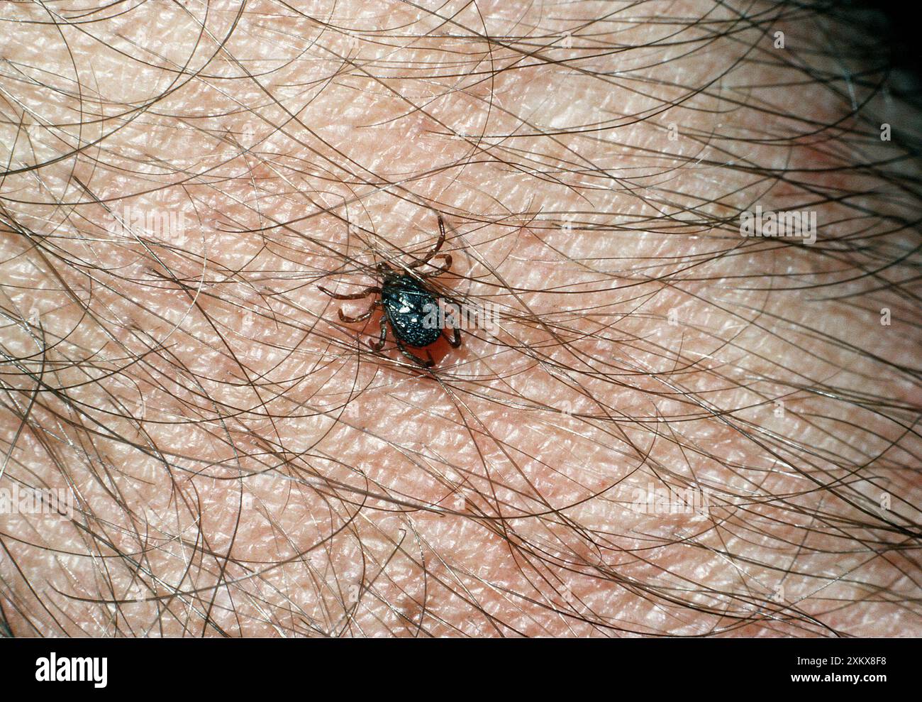 Human and wildlife hi-res stock photography and images - Alamy