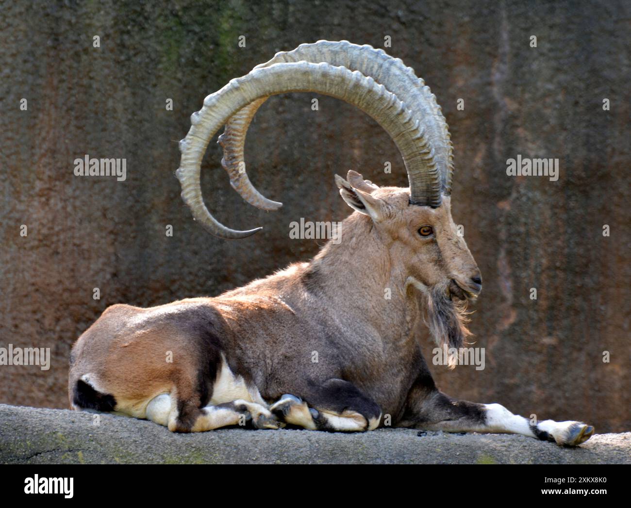 80190050 hi-res stock photography and images - Alamy