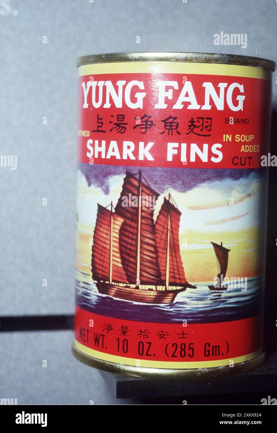 Animal fins hi-res stock photography and images - Alamy