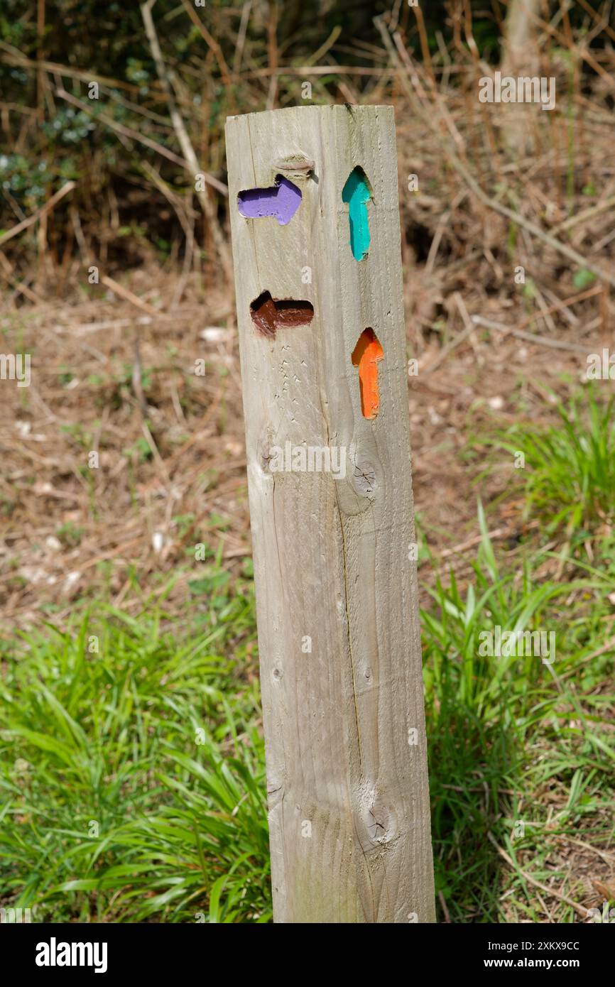 Multi-coloured walking route marker post at Holt Country Park Stock ...