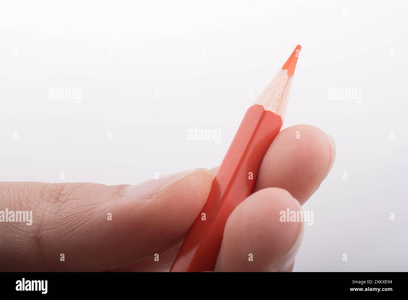 Hand holding color pencil on a white background Stock Photo - Alamy