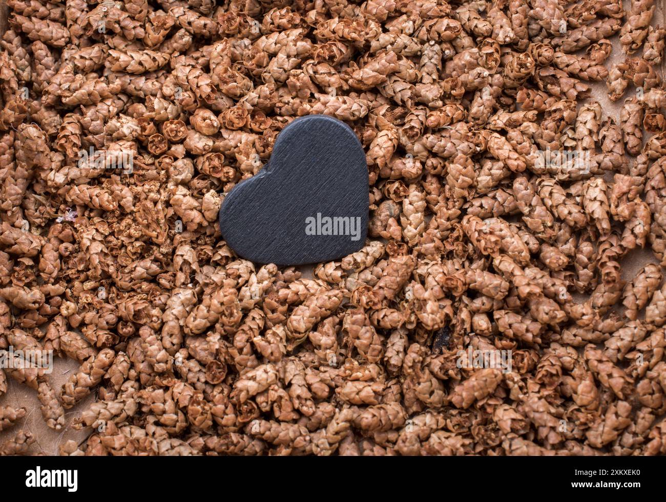 Heart shaped objects on brown leaves Stock Photo - Alamy