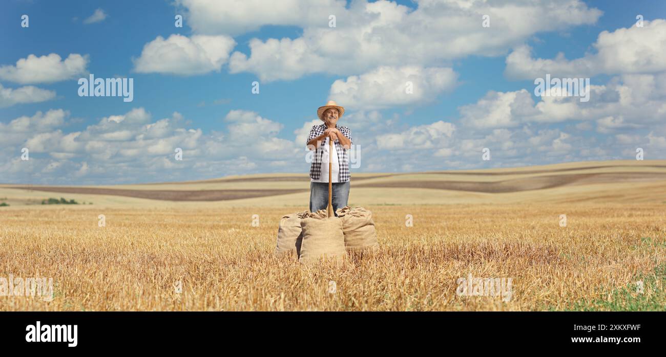 Farmer leaning on a shovel in a middle of a wheat field Stock Photo - Alamy