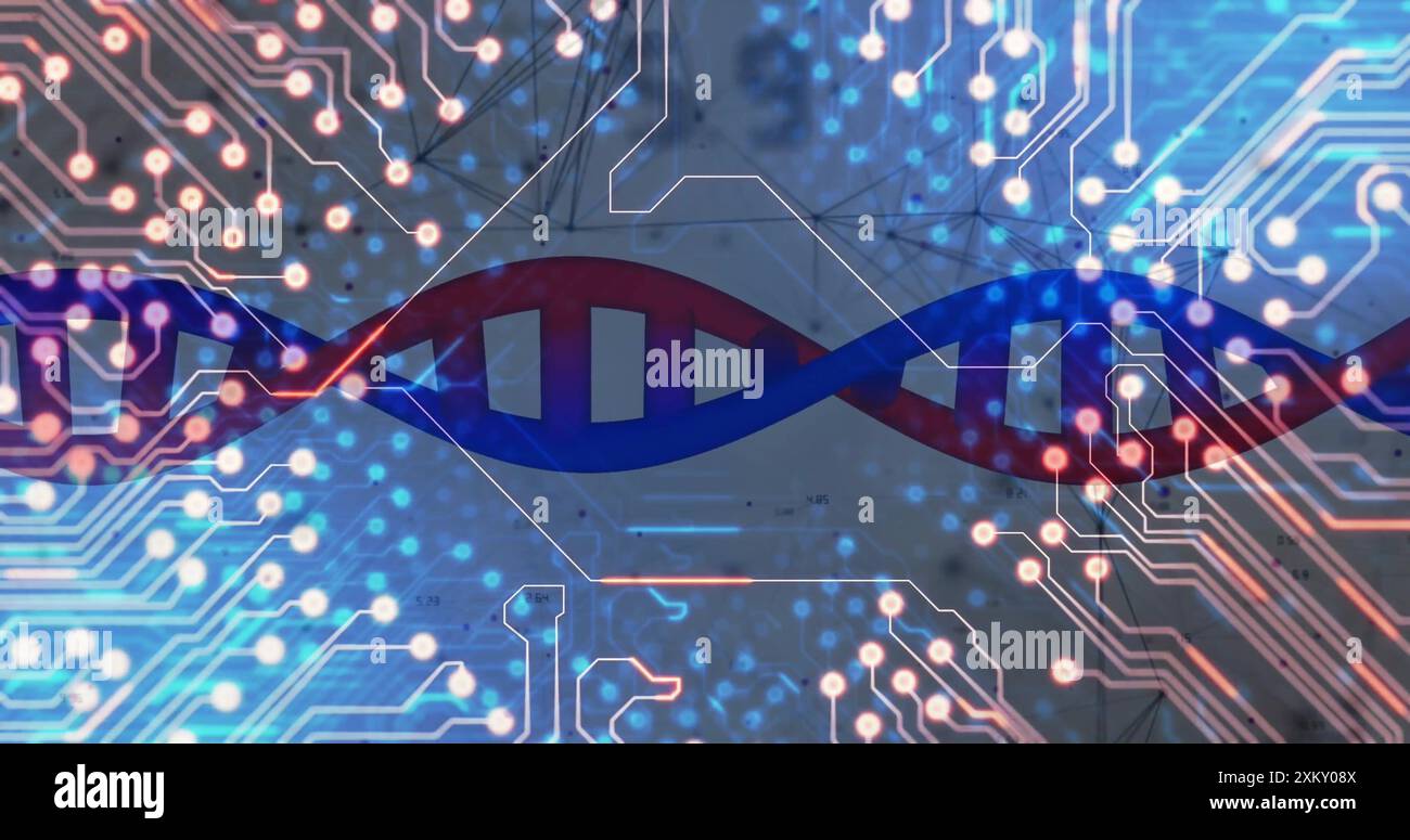 Image of dna strand and data processing over computer circuit board Stock Photo - Alamy
