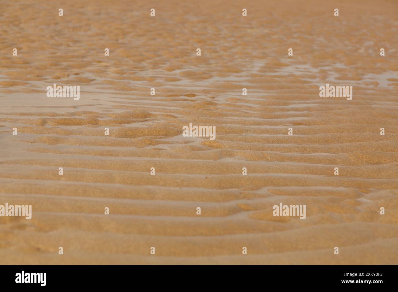 Wet sand texture at the beach in fine details a s a background Stock ...