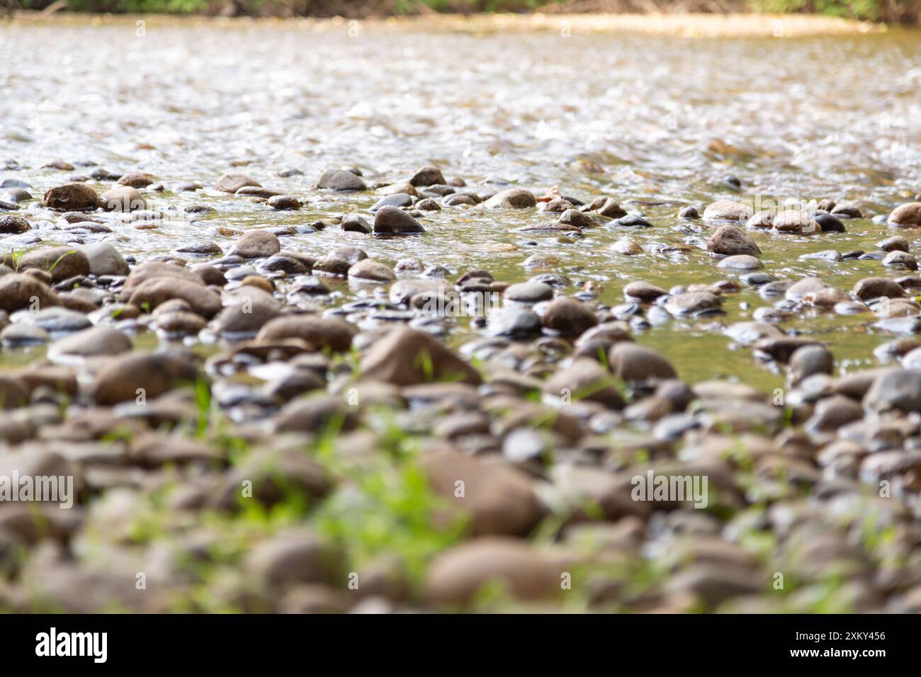 Water and river rocks from the side in a day in Port Coquitlam, Canada ...