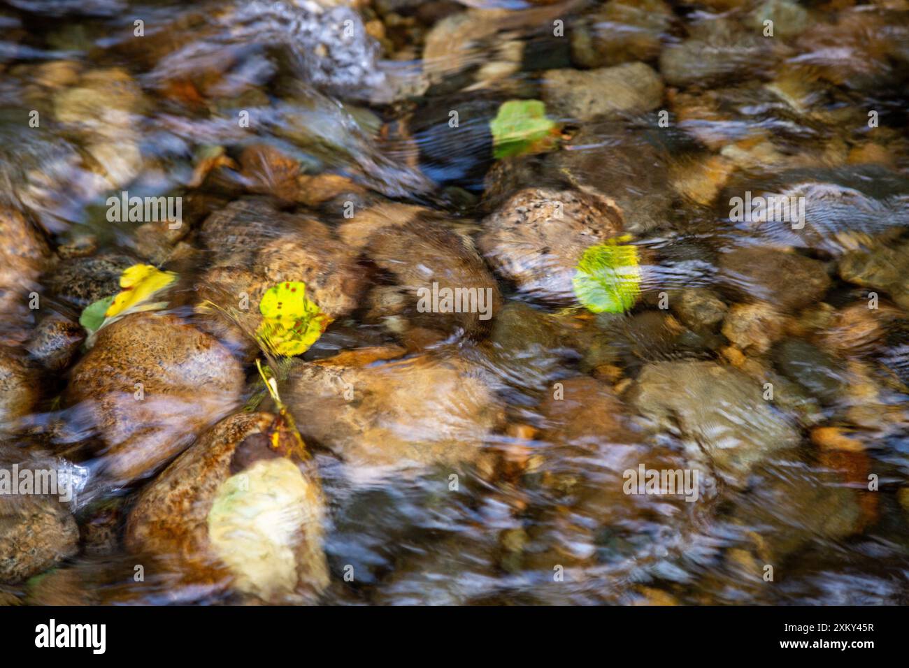Movement water in river summer hi-res stock photography and images - Alamy