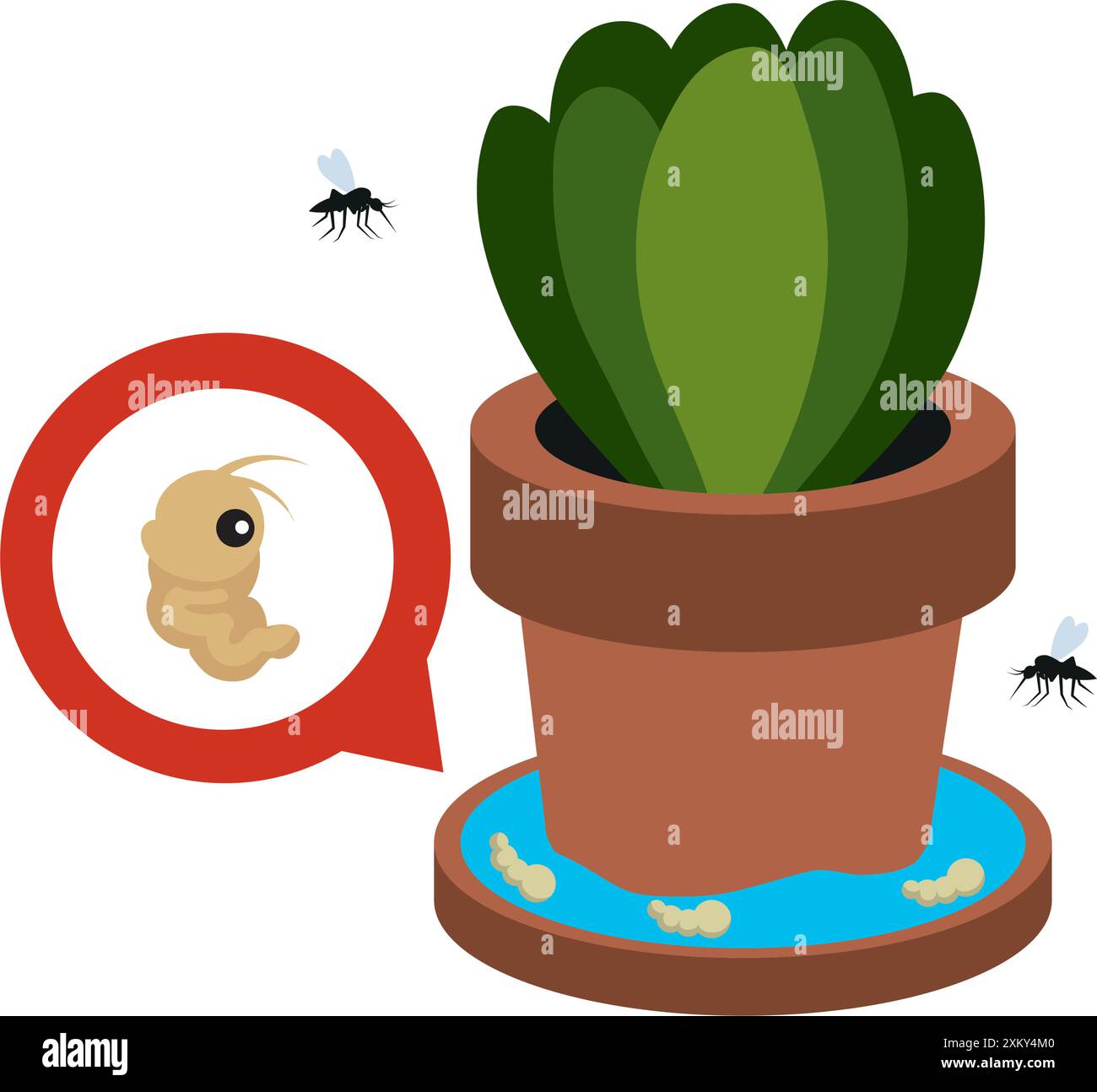 mosquito control and prevention dengue Stock Vector Image & Art - Alamy