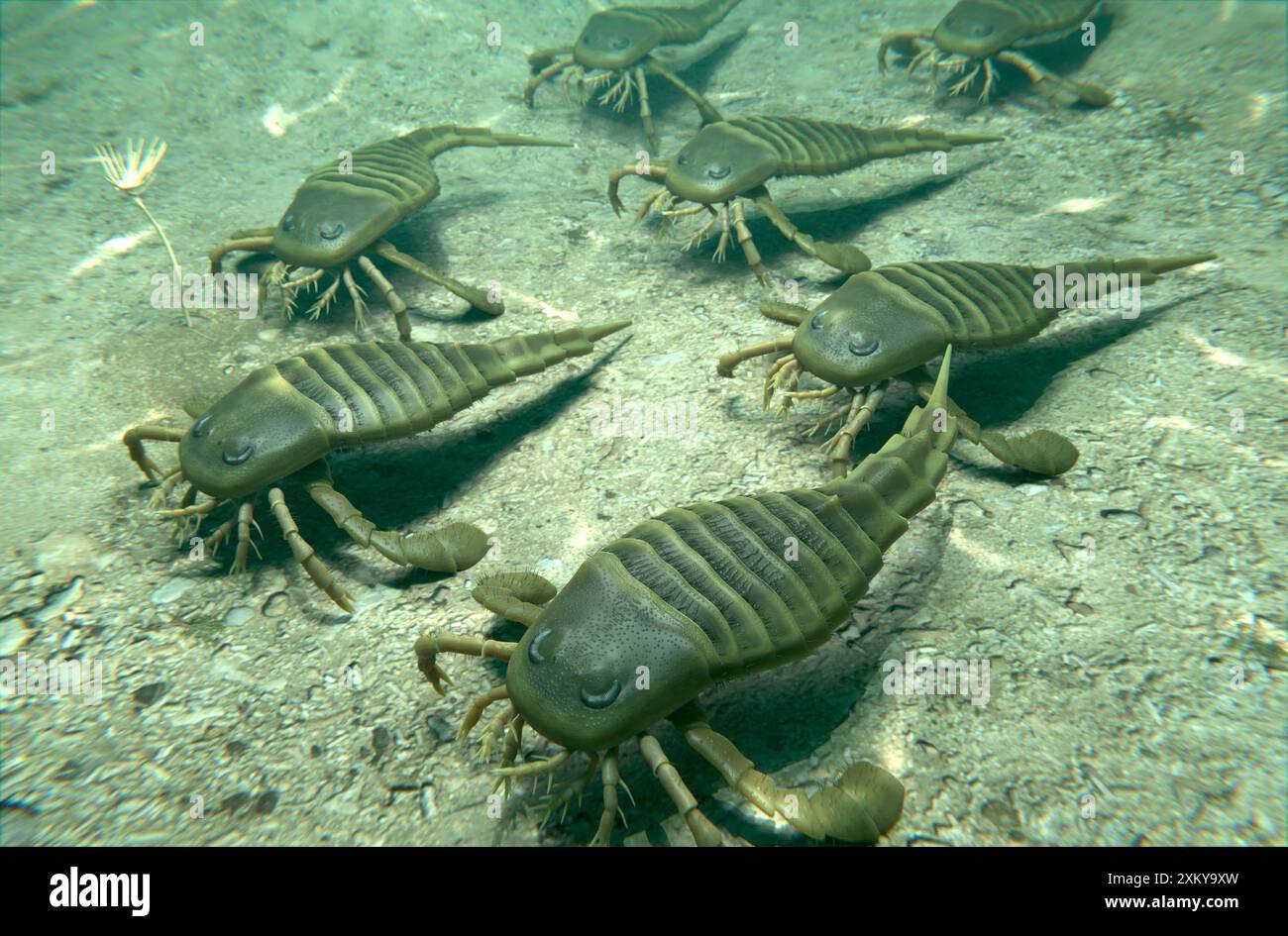 An illustration of Eurypterids (Sea Scorpions) crawling on a Silurian ...