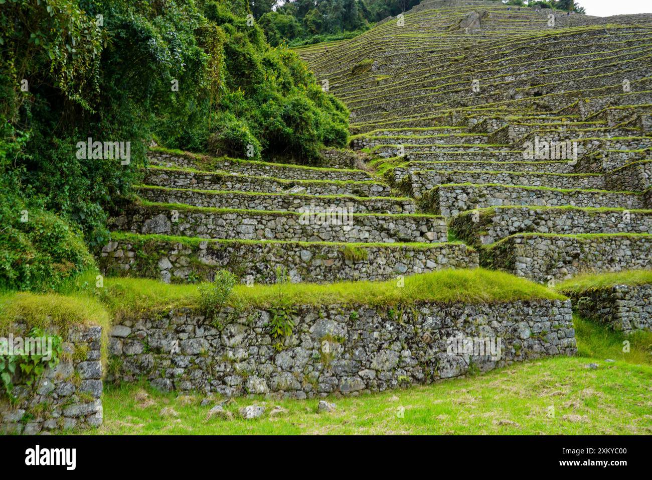 Intipata hi-res stock photography and images - Alamy