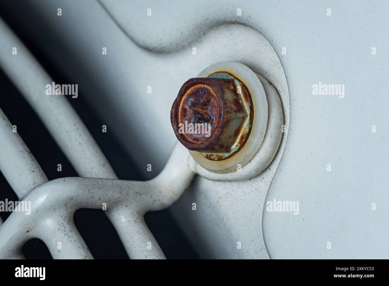 Close-up of a rusty bolt, highlighting the effects of time and ...