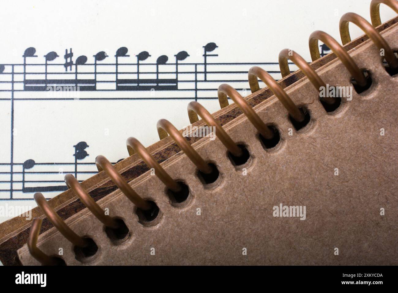 Notebook is on a paper with musical notes Stock Photo - Alamy