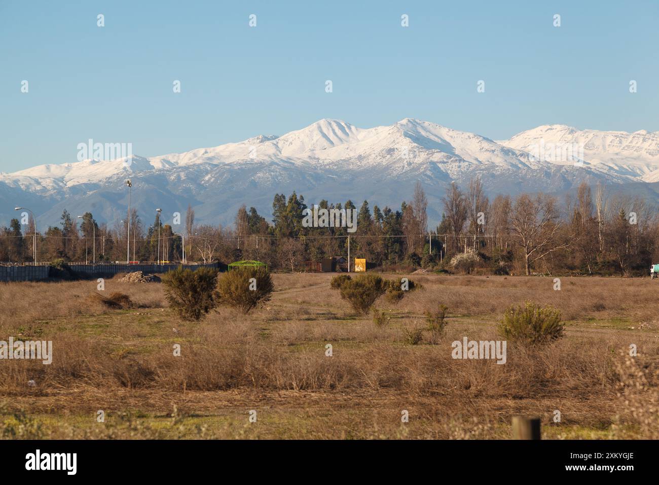 A field in the front plane and the Cordillera de Los Andes (Andes ...