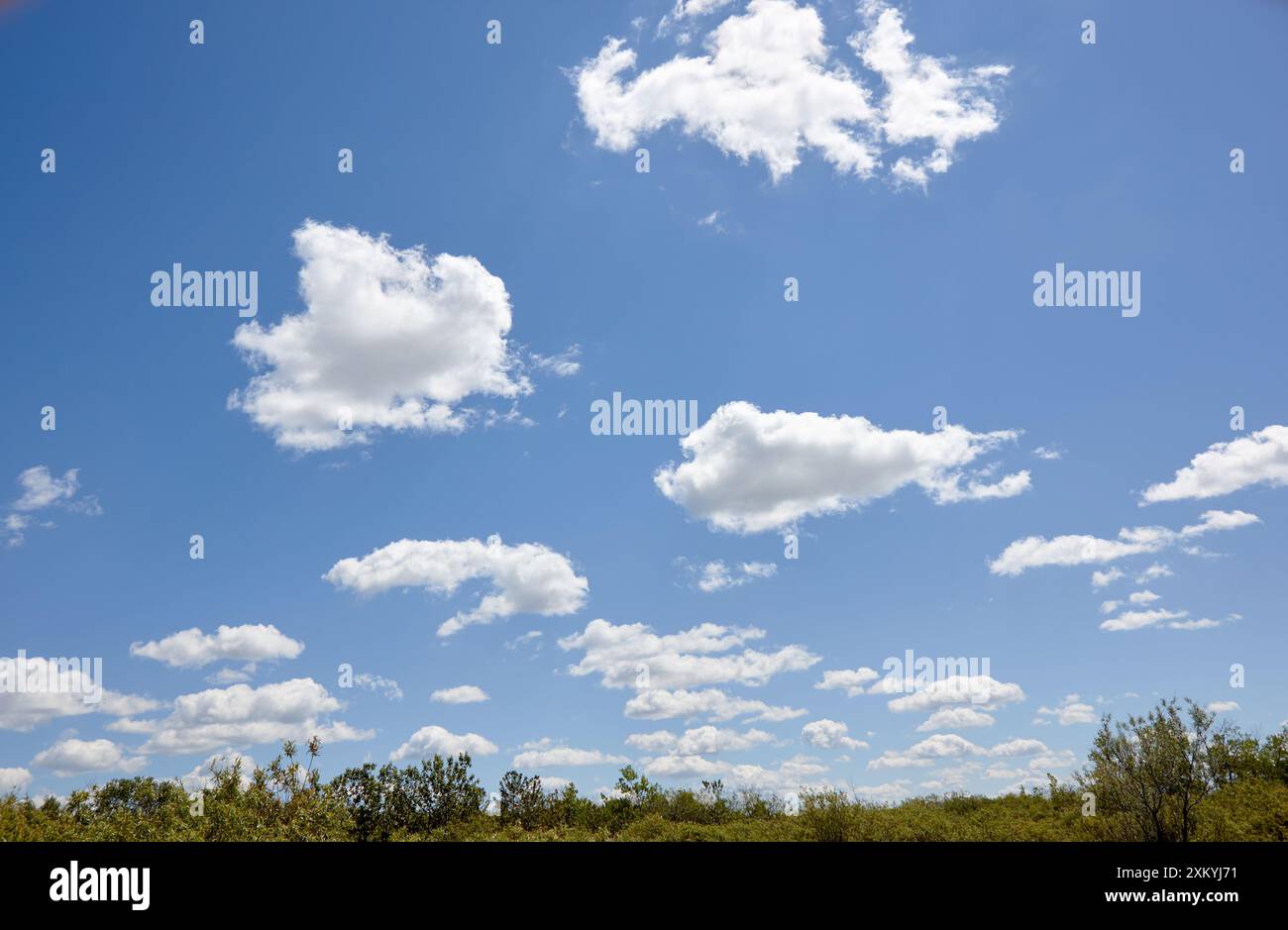 Scenic shot hi-res stock photography and images - Alamy