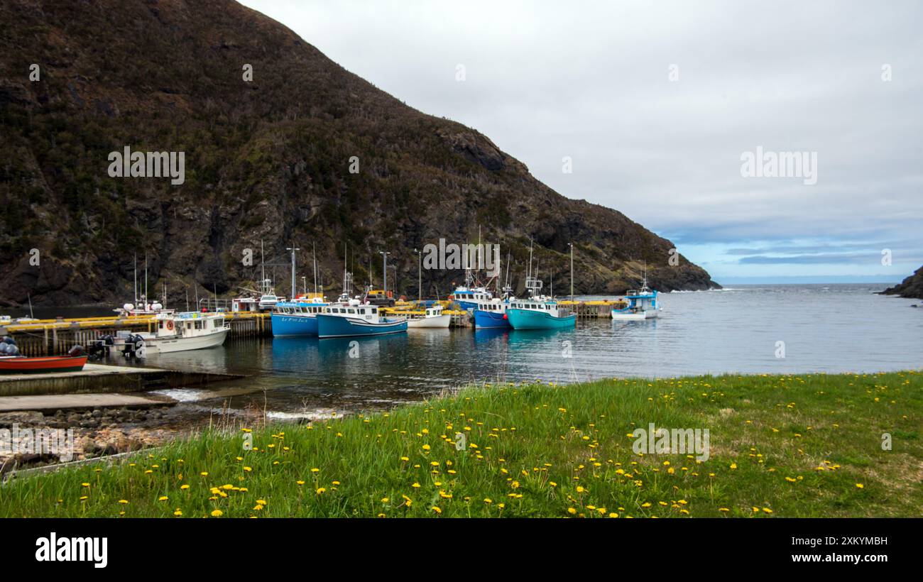 The fishing dock of Little Port, a neighborhood in Lark Harbour, is ...