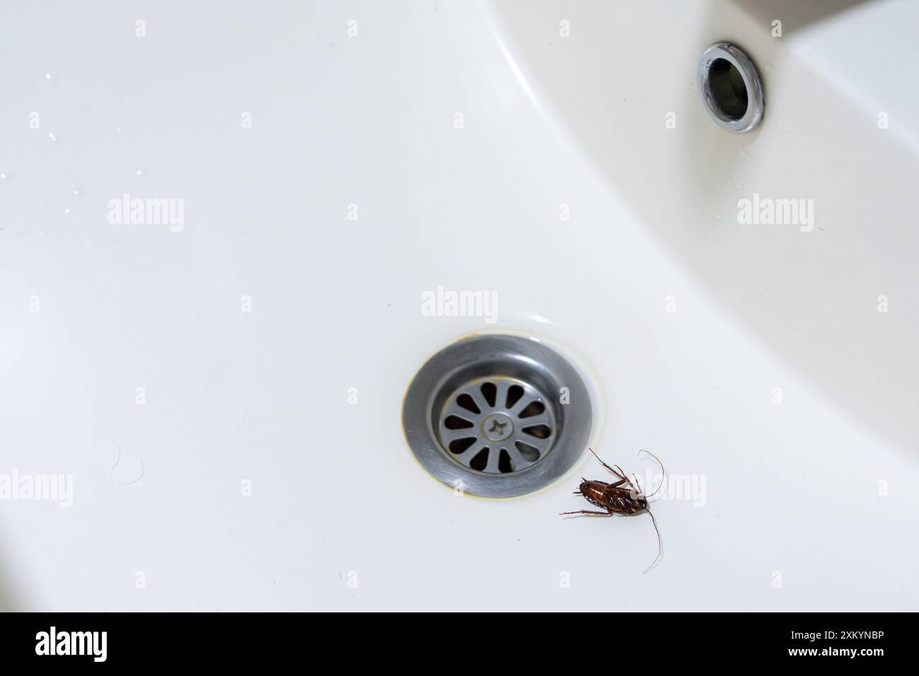 Fight hole trap hi-res stock photography and images - Alamy