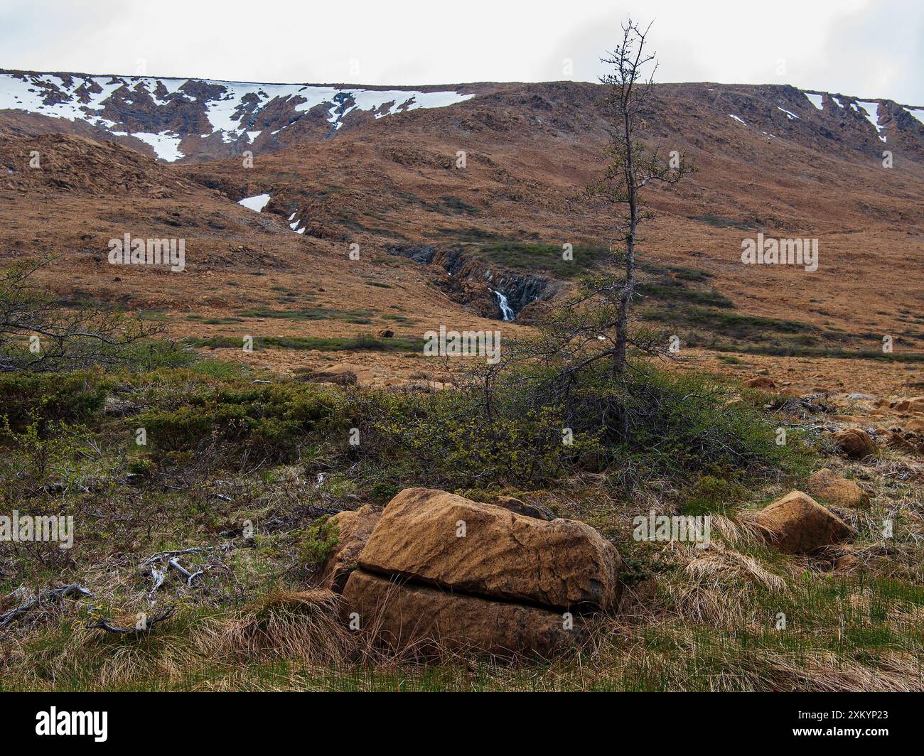 Split peridotite rock at the Tablelands in Gros Morne National Park ...