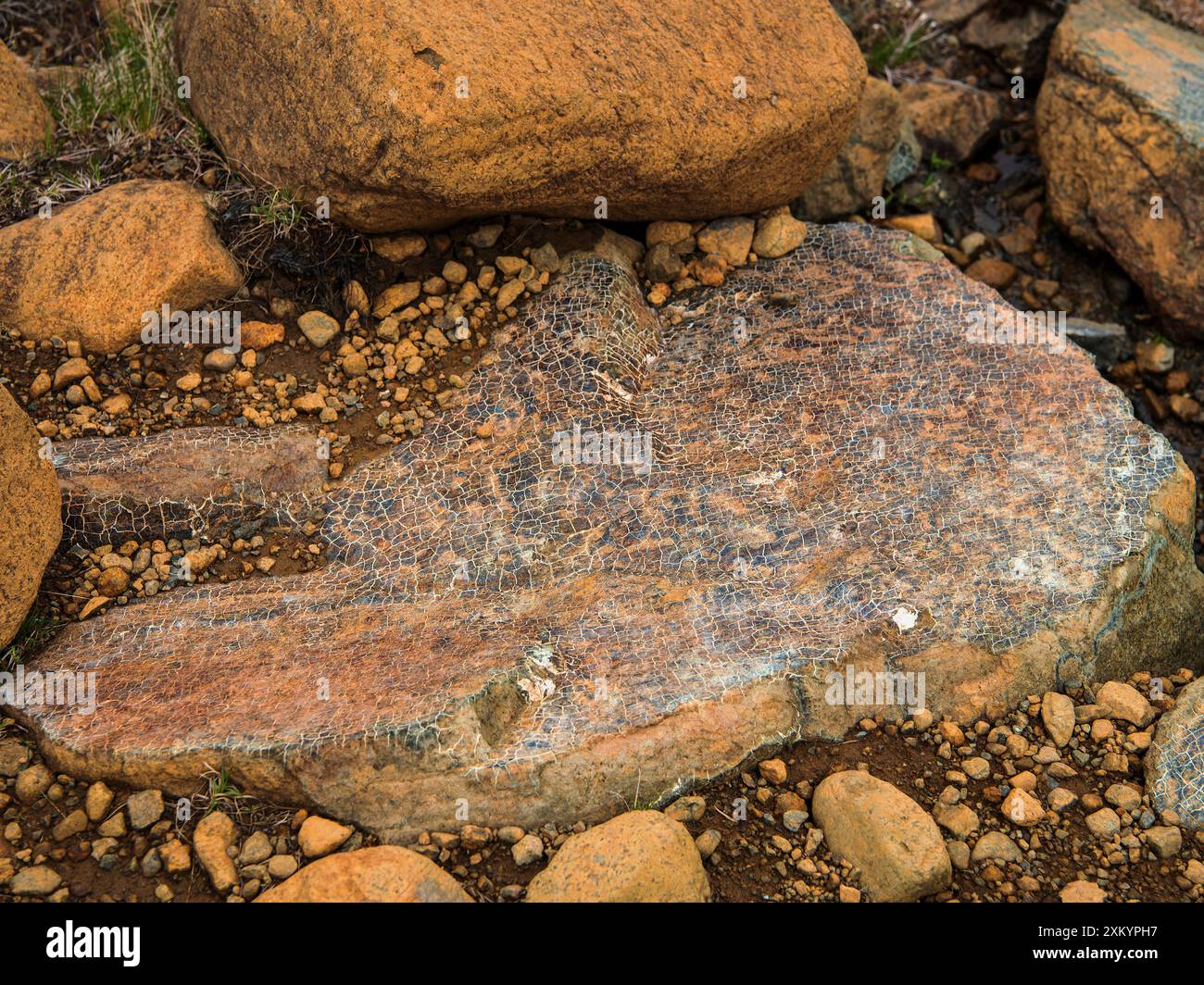 The Tablelands, a vast plateau in Gros Morne National Park, western ...